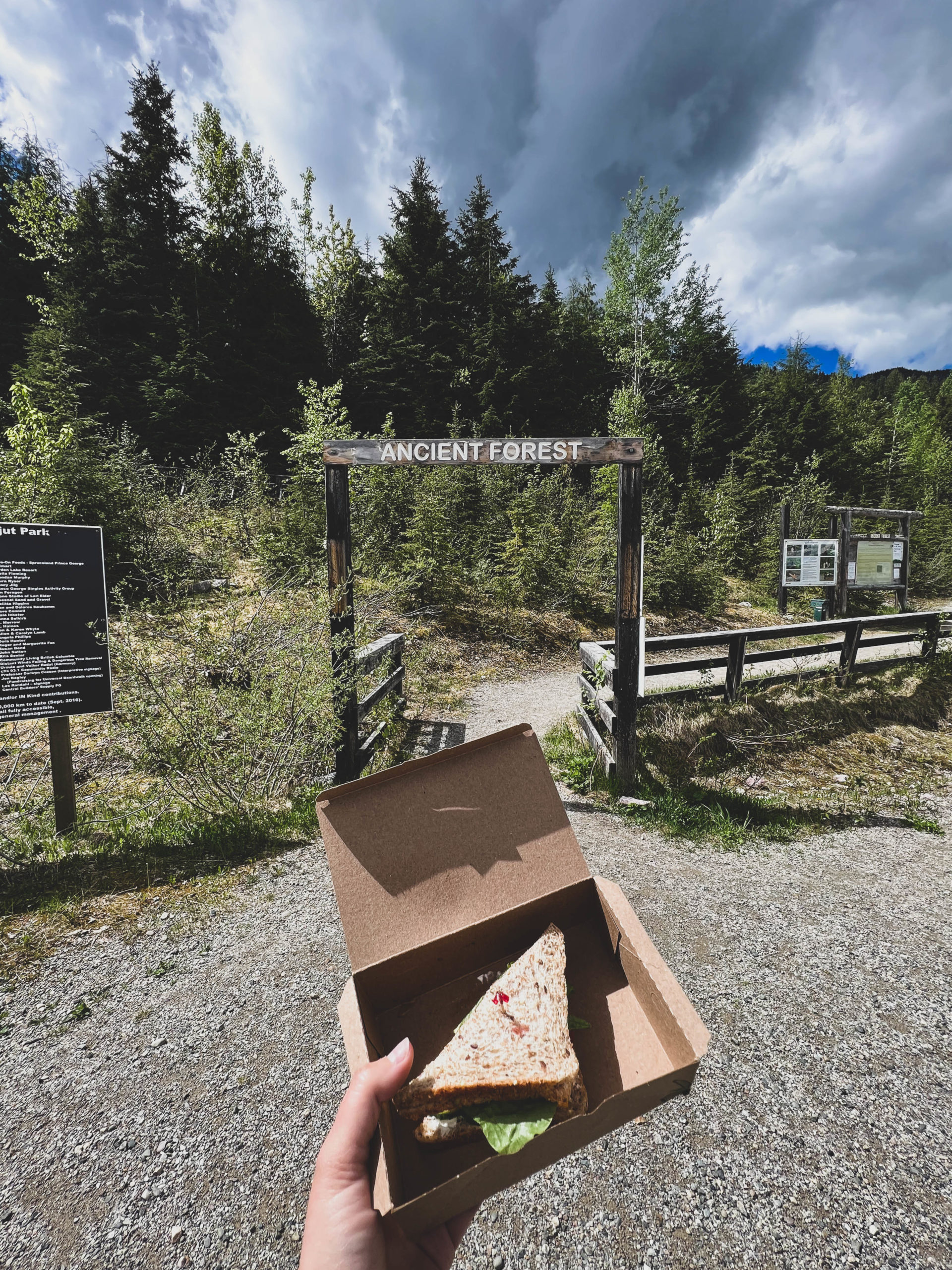 21 Things to do in Prince George